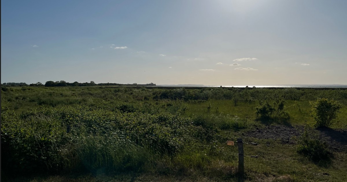 Bogense Vestre Enge - Pilotnaturpark Nordfyn